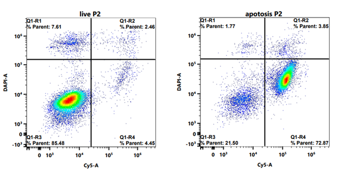 Annexin V-Cy5/DAPI Apoptosis Kit